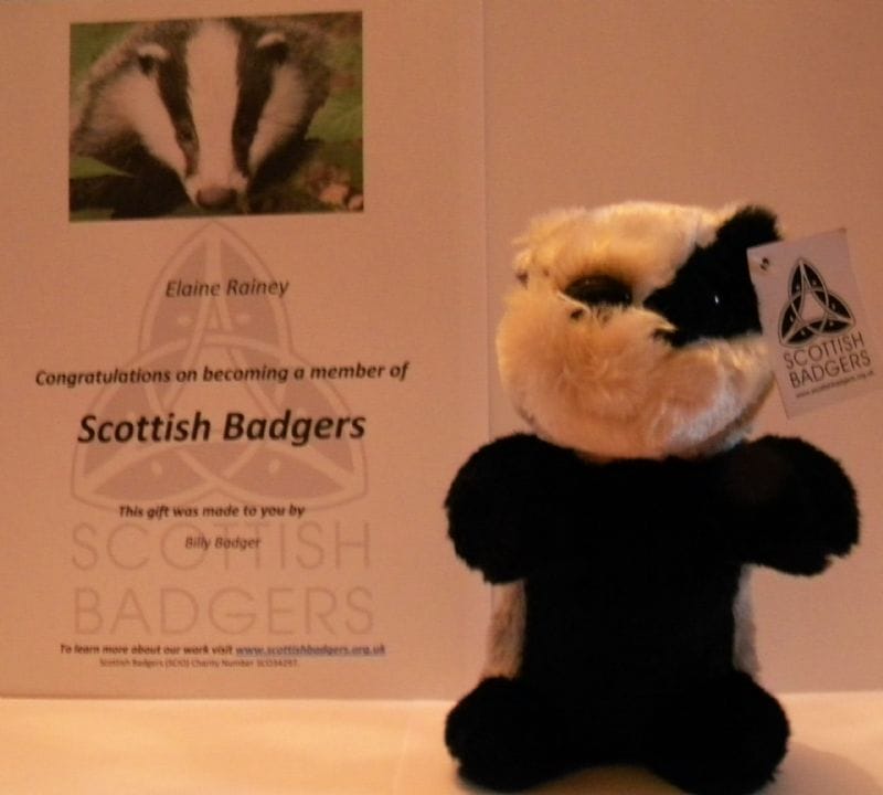 Scottish Badgers Gift Membership - Scottish Badgers