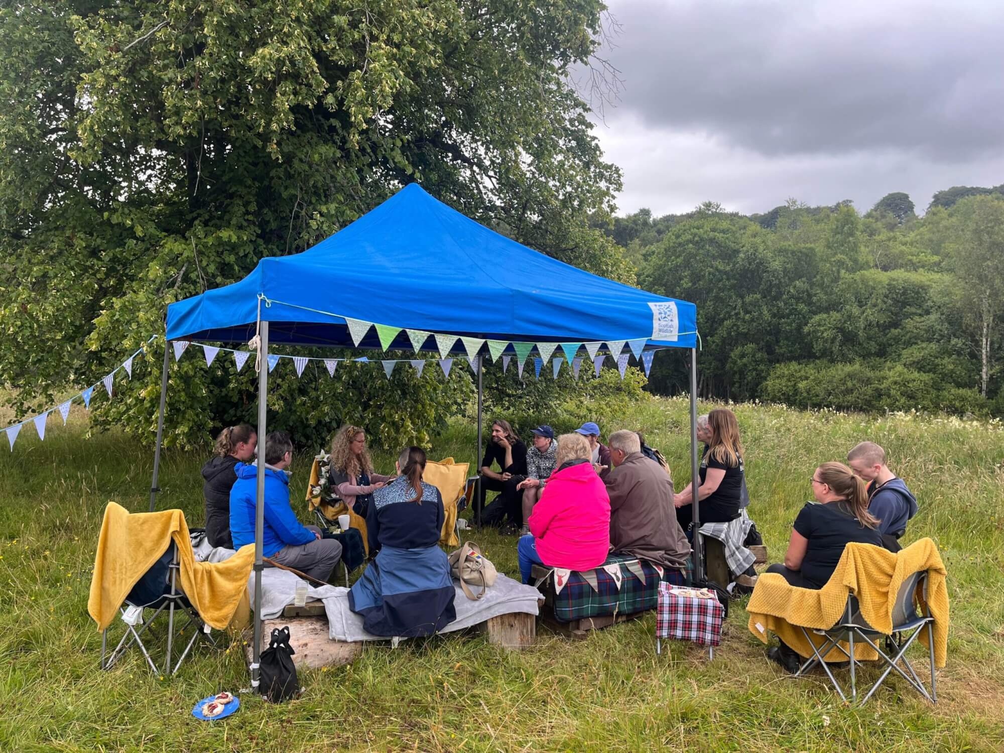 Badgers in folklore & legend - a blog from writer & storyteller Allison ...