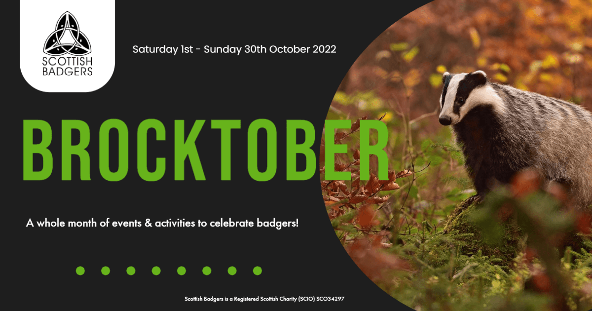 Brocktober - A month of events & activities to celebrate badgers ...